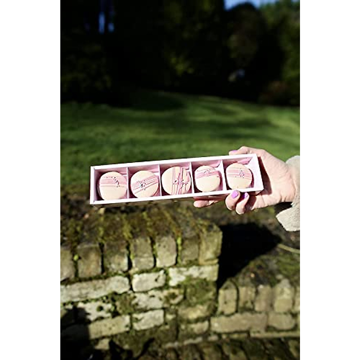 OLBAA Macaron Gift Box. Holds 5 Macarons. Perfect for painted and decorated macarons. 10 pack … (macaron 5 blossom pink)