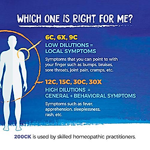 Boiron Camphora 30c Homeopathic Medicine for Onset of Common Cold - Pack of 3 (240 Pellets)