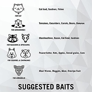 HOMESTEAD Heavy Duty Live Trap - Professional Style One-Door Live Animal Traps for Rabbit, Squirrel, Possum, Skunk, Kitten, Mink