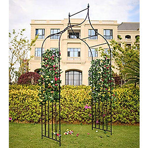 1. GO Gothic Steel Garden Arch, 8'8" High x 4'5" Wide, Garden Arbor for Various Climbing Plant, Outdoor Garden Lawn Backyard