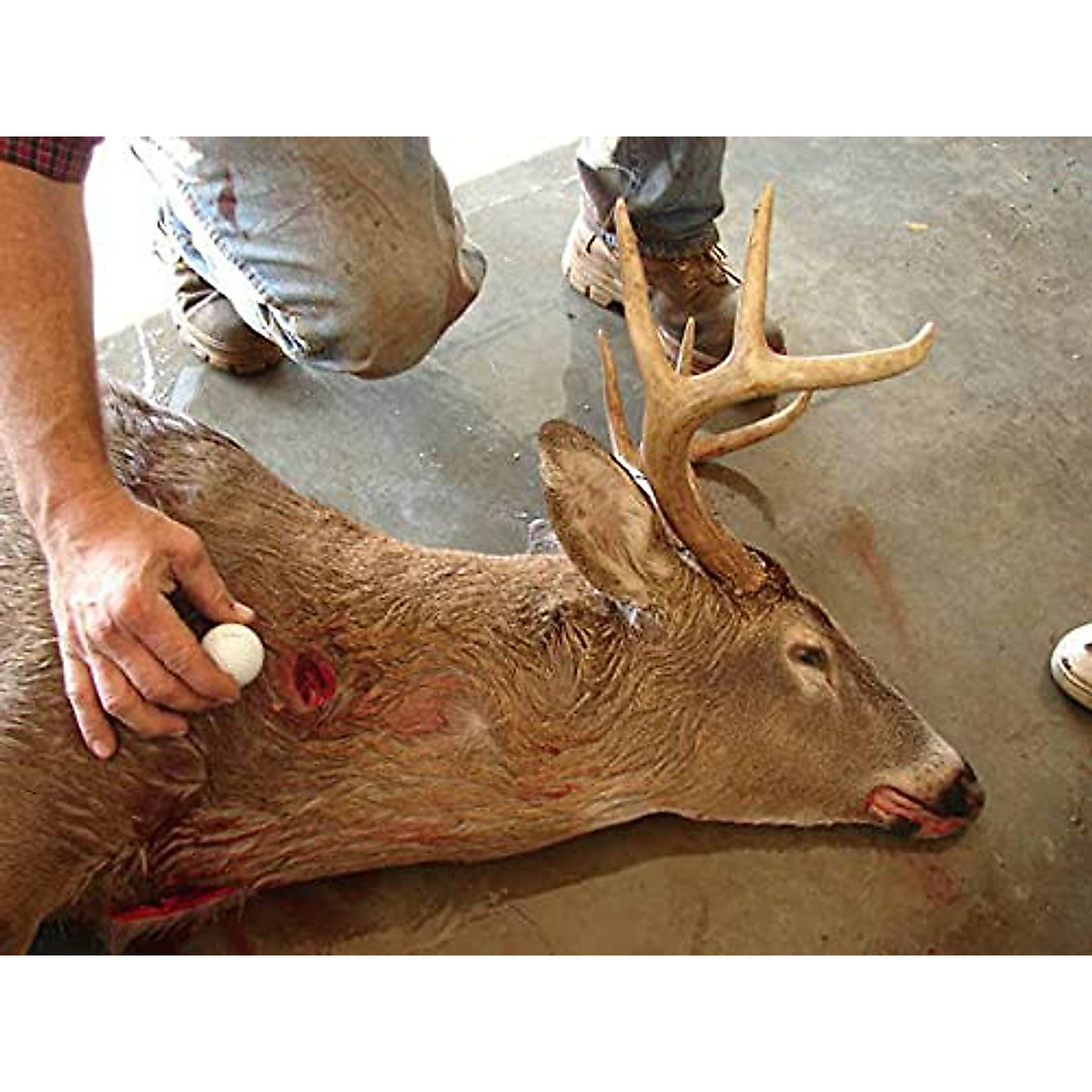 Fire-N-The-Hole Chisel Tip Ring Broadhead Compound Bow 100 Grain 3 Pack