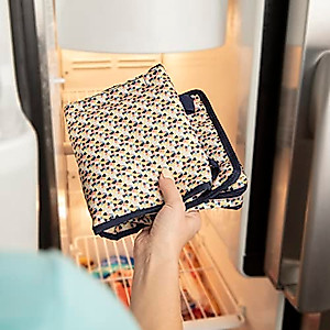 Dr. Brown’s Fold & Freeze Bottle Tote, Breastfeeding Essential Cooler Bag, 6 Baby Bottles Milk Storage - Multicolor