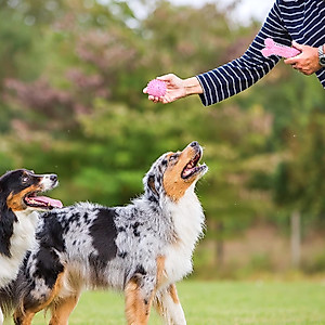 YUKOOY Puppy Toys,Dog Chew Toy for Teething Small Dogs, Puppy Chew Squeaky Toys, Soft & Durable Dog Chew Toys Cleaning Teeth and Protects Oral Health