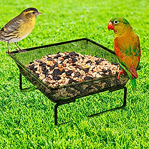 Ground Bird Feeder Tray for Feeding Birds 2 Pack,High Raised Feed Birds Off The Ground,Metal Mesh Platform Bird Feeders Outdoors,Durable Compact Bird Feeder Dish(7" x 7" x 3")