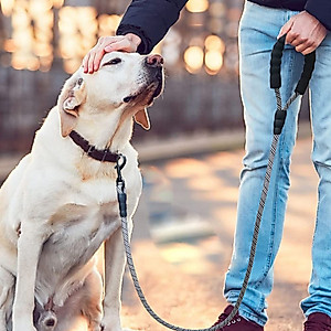 MayPaw Heavy Duty Rope Dog Leash, 3/4/5/7/6/8/10/12/15 FT Nylon Pet Leash, Soft Padded Handle Thick Lead Leash for Large Medium Dogs Small Puppy (12ft x 1/2", Black)