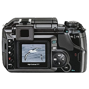 Olympus Evolt E300 8MP Digital SLR with Zuiko 14-45mm f/3.5-5.6 Digital SLR Lens