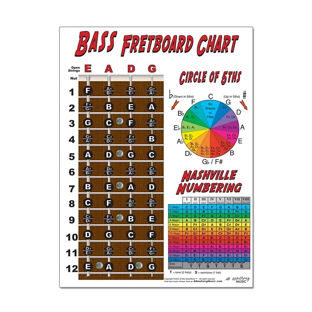 Laminated 4 String Bass Fretboard Notes Chart Nashville Number System & Circle of 5ths Easy Instructional Poster for Beginner for Notebook - A New Song Music 8.5 x 11