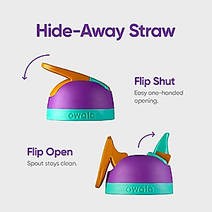 Owala Flip Insulated Stainless Steel Water Bottle with Straw for Sports and Travel, BPA-Free, 24-Ounce, Very, Very Dark