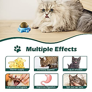 Catnip Ball Toy for Cats Wall 4 Pack Cat Nips Organic Ball Edible Kitten Toys Interactive Cat Lick Chew Toy Indoor Cat Toy Treats for Cat Teeth Cleaning Relieve Cat Anxiety