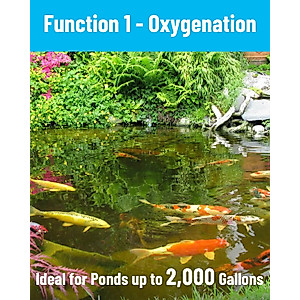 FUMAK Pond Aeration Kit – Koi Pond Aerator Pond Air Pump Kit for Pond up to 2000 Gallons Pond Deicer All-in-One Pond Aeration System with Double Outlets Check Valves Airline Tubing Air Stones