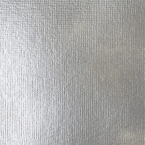 Liquitex BASICS Acrylic Paint, 250ml (8.5-oz) Tube, Silver