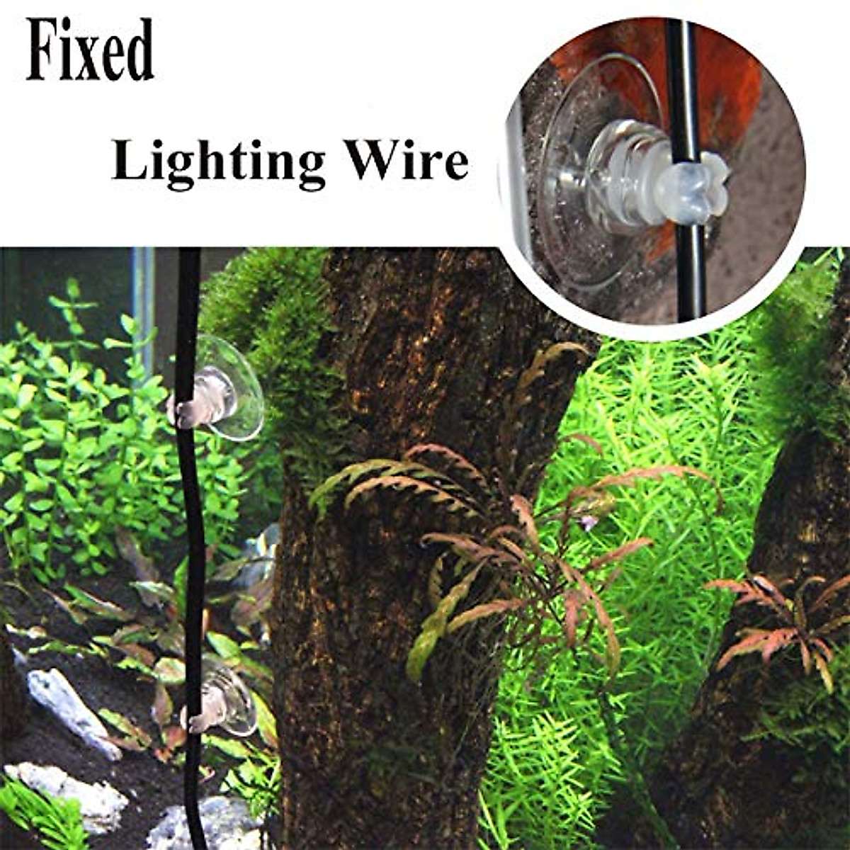 JZMYXA Aquarium Suction Cup Clips Air Tube Holders for Fish Tank,10 Pieces, Fit Tube/Lighting Wire Outer Diameter 0.2-0.23 Inch.