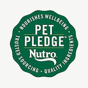 Nutro Crunchy Dog Treats With Real Peanut Butter, 16 oz. Bag