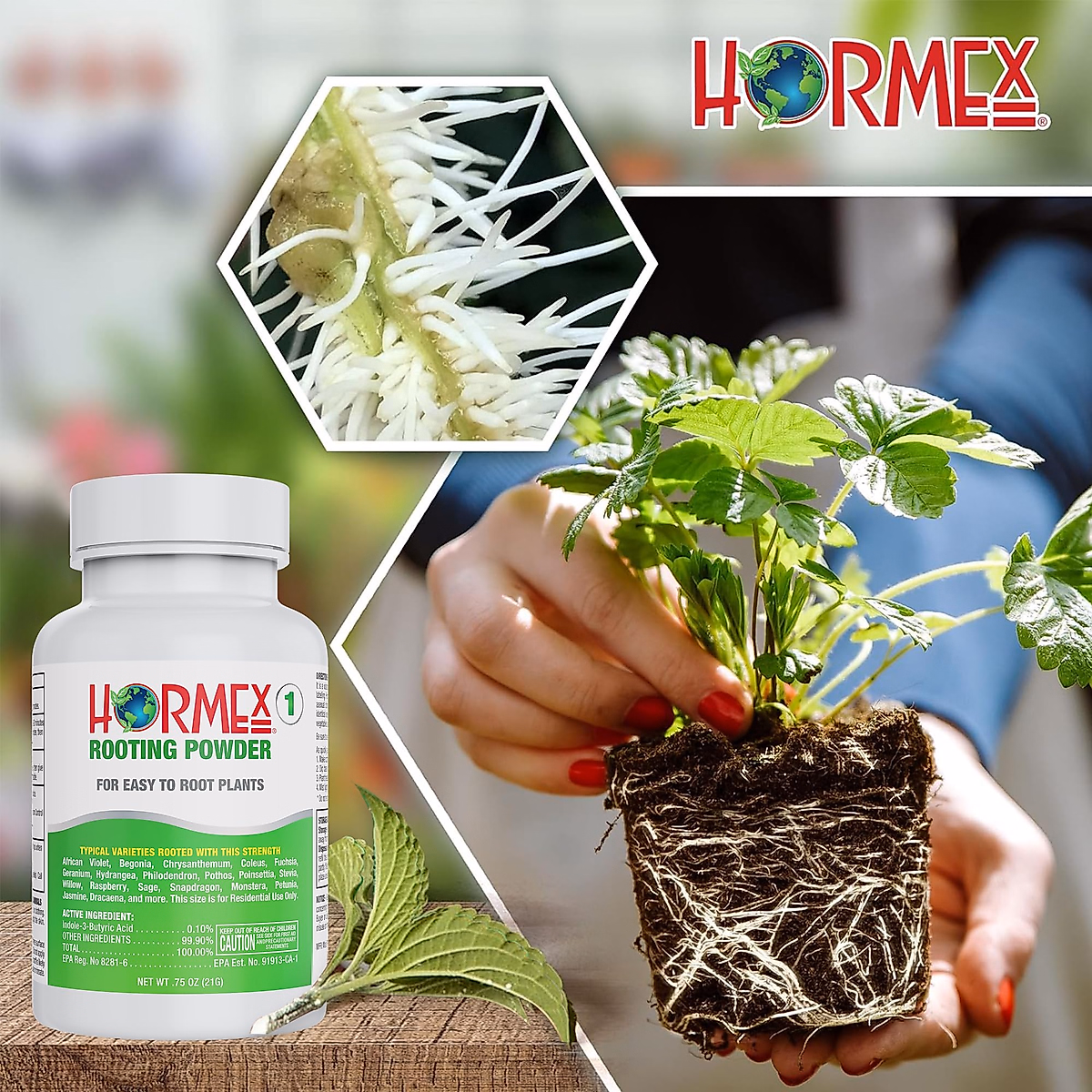 Hormex Rooting Powder #1 - for Moderately Difficult to Root Plants - 0.1 IBA Rooting Hormone for Plant Cuttings - Fast & Effective - Free of Alcohol, Dye, Gel & Preservatives for Healthier Roots, 21g