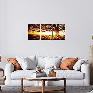 Nachic Wall 3 Panels Wall Art Canvas Prints Big Trees in Sunset Pictures Relax Natural Landscape Painting Ready to hang for Home Office Living Room Bedroom Wall Decor with Frame Ready to Hang