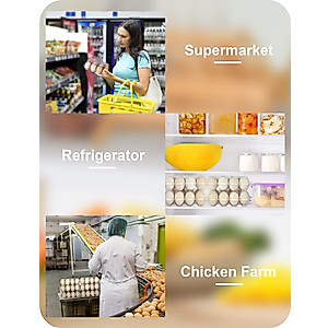 Pintuson 50 Pack Egg Cartons Cheap Bulk 12 Count - Holds 1 Dozen Clear Blank Egg Cartons for Chicken Eggs - Clear Empty Chicken Egg Carton for Fresh Medium Eggs