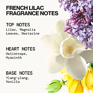 Pacifica Beauty, Wanderlust Spray Perfume Trial Set, Featuring Island Vanilla Mini, 5 Scents, Fragrance Sampler Gift Set, Natural + Essential Oils, Clean, Vegan + Cruelty Free