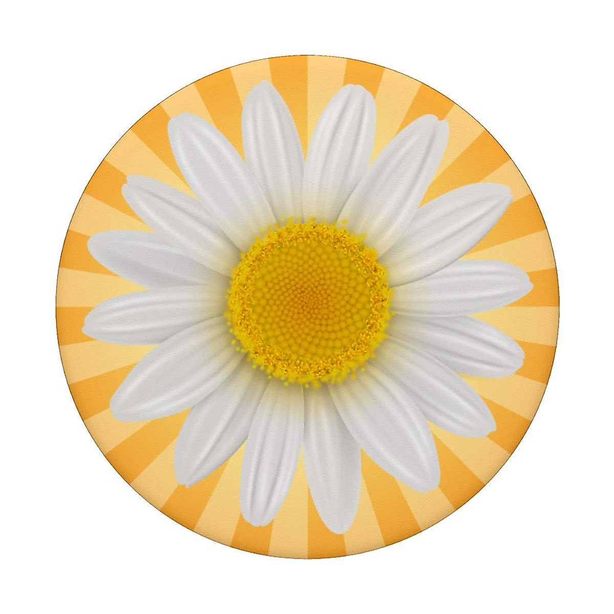 Cute White Flower Daisy With Yellow Sun Ray Background