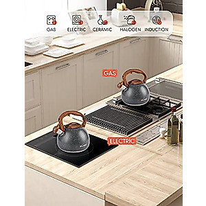 Tea Kettle, 2.7 Quart BELANKO Teapot for Stovetops Wood Pattern Handle with Loud Whistle Food Grade Stainless Steel Tea Pot Water Kettle - Gray