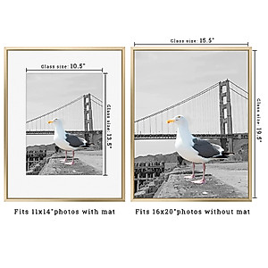 Frametory, 16x20 Metal Picture Frame with Mat for 11x14 Picture & Real Glass, Aluminum Photo Frame Collection (Gold, 2 Pack)