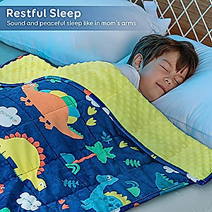 Sivio Weighted Blanket 5 lbs, Super Soft Crystal Velvet & Minky Dots Cartoon Patterns Reverise Heavy Throw, Heavy Blankets, 36 x 48 Inch Blue Dinosaur