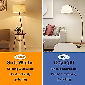 12Packs Vintage LED Edison Bulbs, 60W Equivalent 7W, 800Lumens, Dimmable ST64 Antique LED Filament, Daylight White 5000K, E26 Medium Base Light Bulbs High Brightness Clear Glass for Bedroom Office