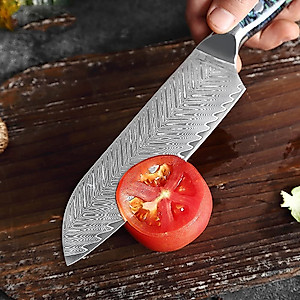 FFRR Knife Cleaver Chinese Chopping Knife Professional Kitchen Japanese Knife Set Steel Chef Knife Abalone Shell Handle Santoku Meat Vegetable Cleaver Cut Cutting Vegetable (Color : 5PCS)