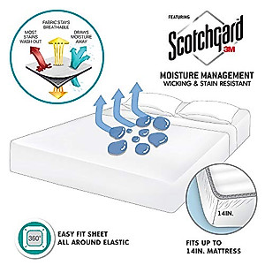 Peak Performance 3M Scotchgard Micro Fleece Wrinkle and Stain Resistant, Soft Plush Sheets with 14" Deep Pocket Cold Season Cozy Bedding-Set, Matching Pillow Case, Queen, Mink (SHET20-729)