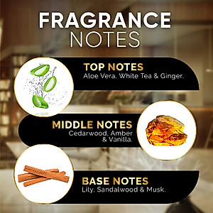 Signature Scents - Luxury Hotel Fragrances - Hotel Fragrance Oil - Diffuser Oil Blends for Aromatherapy (Sanctuary Suite) 4.05 Fl Oz (120ml)