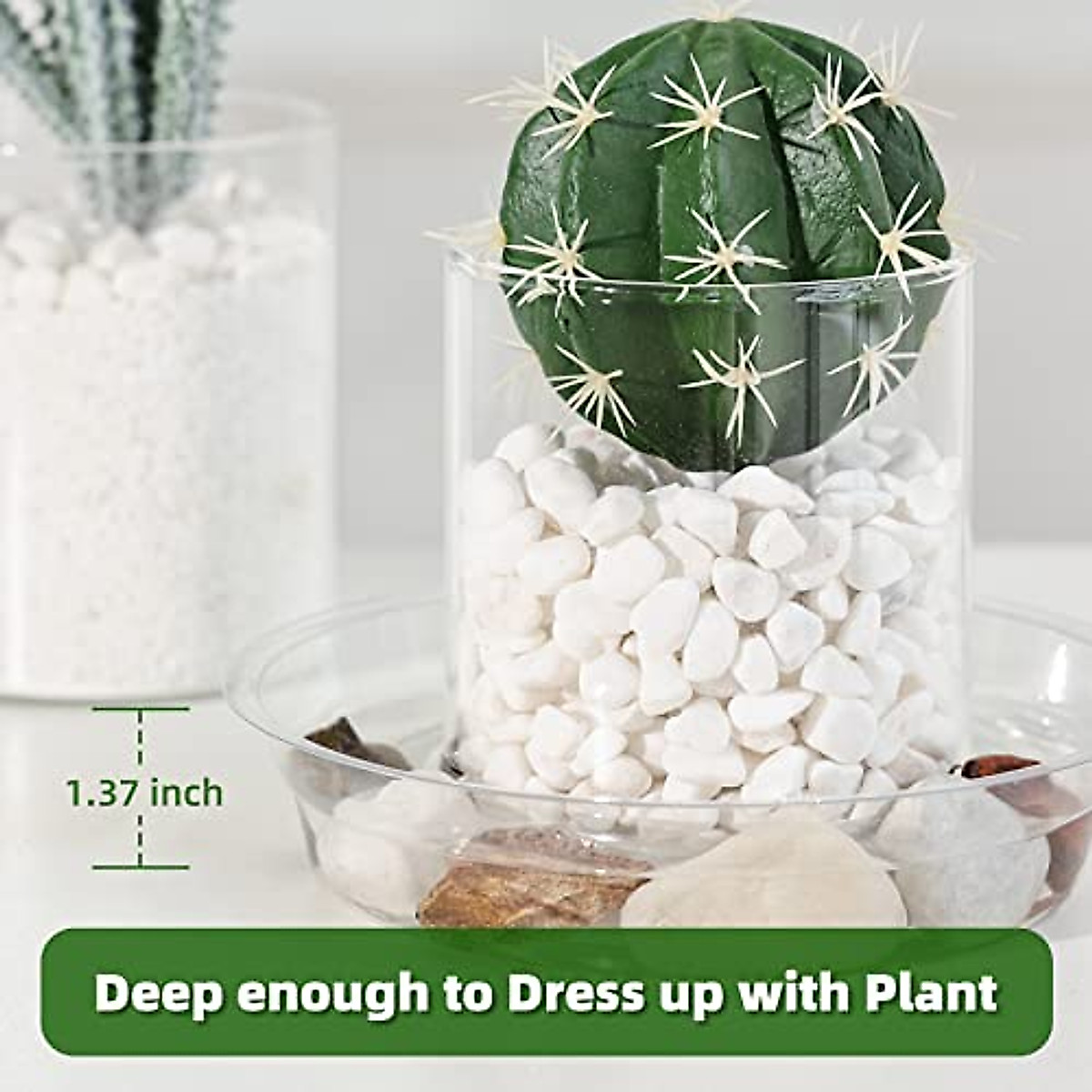 TRUEDAYS 15 Pack(6 inch/8inch/10inch) Clear Plant Saucers Flower Pot Tray Excellent for Indoor & Outdoor Plants