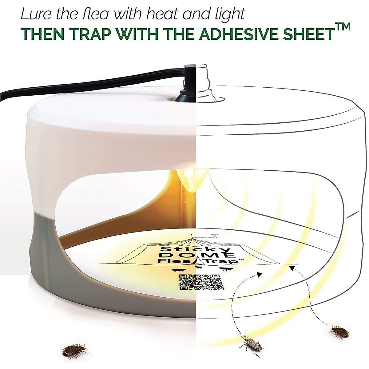 ASPECTEK Flea Trap Replacements Glue Discs, Sticky Dome Flea Trap Refills, Pack of 6, White