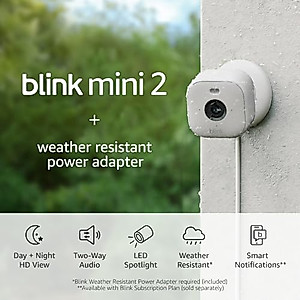 Blink Mini 2 (Newest Model) + Weather Resistant Adapter — Indoor/Outdoor Home Security & Pet Camera(s) with HD video, motion detection, and built-in spotlight — 2 cameras (White)