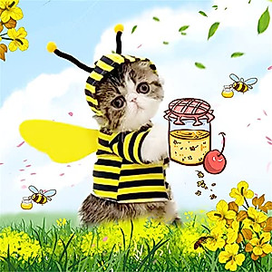 Pet Clothes for Medium Dogs Cartoon Bee Printing Sweater Cats Bee Sweater Set Bee Dressing Supplies Winter Sweater 6 Sizes Clothes for Small Dogs Girls Dress