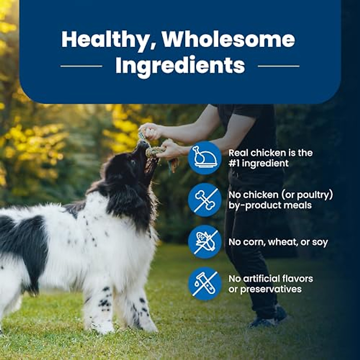 Blue Buffalo Life Protection Formula Adult Dry Dog Food, Helps Build and Maintain Strong Muscles, Made with Natural Ingredients, Chicken & Brown Rice Recipe, 15-lb. Bag