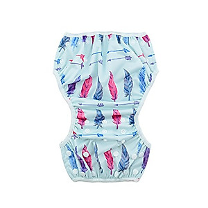 Babygoal Baby Swim Underwear for Swim lesson, Reuseable Washable Adjustable Swiming Diapers Girl color SW20, one size( 0-2 years), Feather