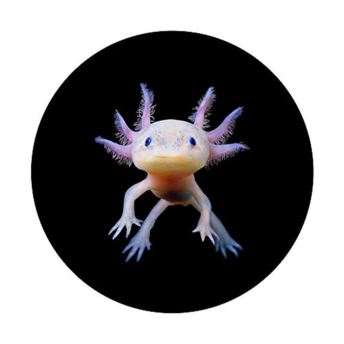 Axolotl Mexican Walking Fish Cute Amphibian Axolotl PopSockets PopGrip: Swappable Grip for Phones & Tablets