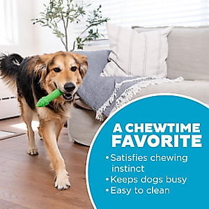 Outward Hound Dental Asparagus Treat-Dispensing Dental Dog Chew Toy, Medium, Green