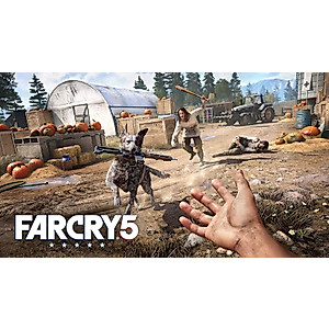 Far Cry 4 + Far Cry 5 (Xbox One)