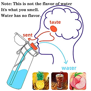 GIYZOKNI Water Bottle Starter Set, Water Bottle with Pods, 750ML Fruit Fragrance Water Bottle with 3 pcs Pods, 0% Sugar Water Cup BPA Free, Suitable for Gyms, Outdoor Sport, Schools (Black)