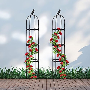 Garden Trellis for Climbing Plants Outdoor, Tall Rustproof Plant Trellis, for Potted Plants/Vine/Rose/Clematis,Garden Obelisk Trellis (Size : 120CM)