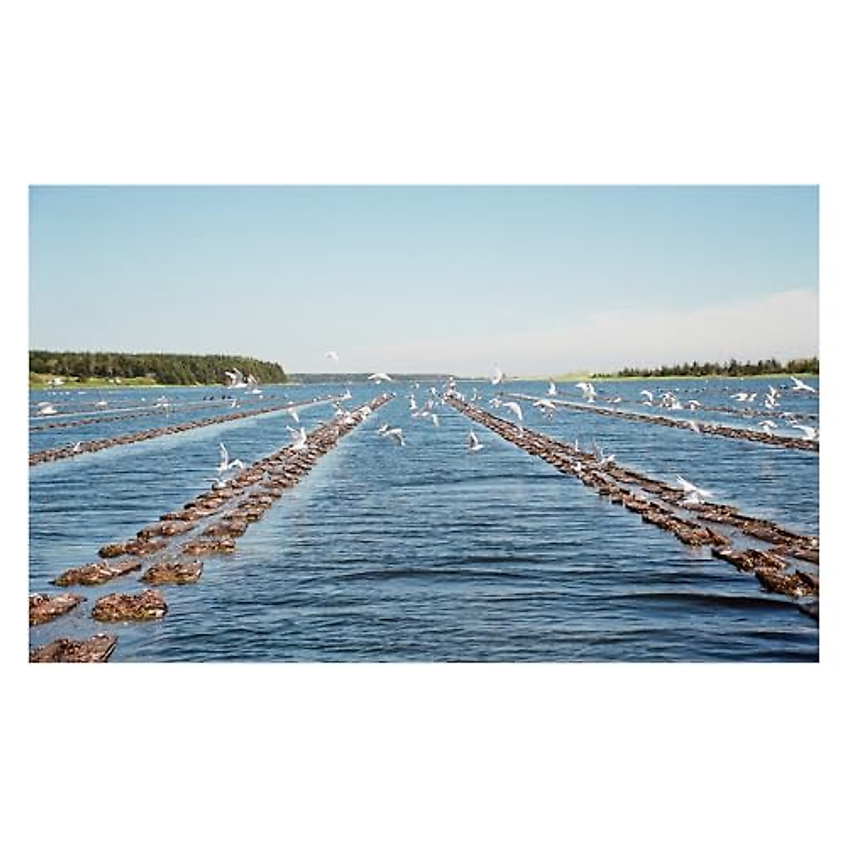 Matty Matheson: A Cookbook