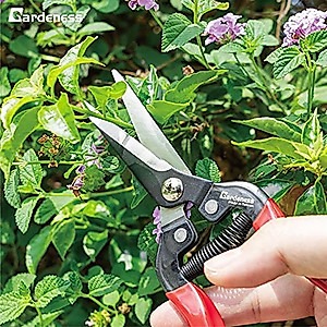 Gardeness Pruning Shear Straight Pruning Snip with SK5 Steel Serrated Blade, Adjustable Joint Screw Micro Tip Garden Scissor for Arranging, Trimming, Harvesting Fruit, Vegetables, Made in Taiwan