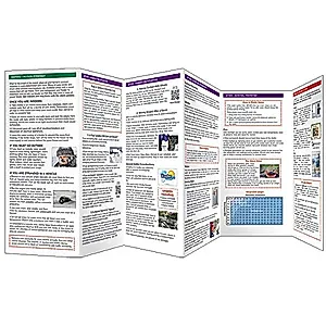 Extreme Cold Survival: Prepare For & Survive Winter Storms (Outdoor Recreation and Survival)