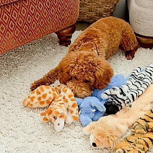 Squeaky No Stuffing Dog Toy Set – New & Improved Edition Plush Crinkle Dog Toys for Small, Medium & Large Breeds – Soft Tough Stuffless Puppy Chew Squeak Animal Supports Pet Health & Well Being 5 Pack