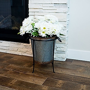 Achla Designs FB-14 Ring Wrought Iron Metal Plant birdbath Bowl Stand Flowerpot Holder, Black