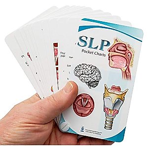 SLP Pocket Charts