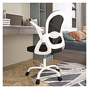 YLYAJY Mesh Office Chair Mesh Desk Chair Lumbar Support Computer Chair Adjustable Lumbar Support (Color : E, Size : 1)