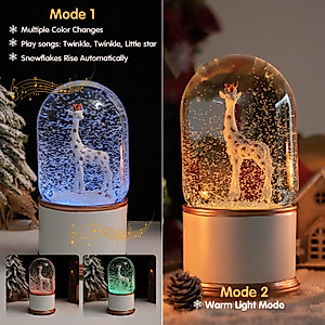 DREAM GARDEN Snow Globe for Kids, Musical Snow Globe Music Box Giraffe Snowglobe Water Globe Gifts for Girls Kids Daughters