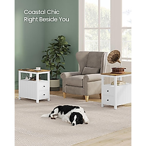 VASAGLE Side Table with Charging Station, Narrow Nightstand with 2 Drawers, Living Room End Table with Storage, for Small Spaces, Coastal Style, Rustic Walnut and Classic White ULET322T14