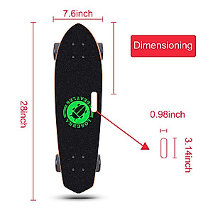 LOSENKA 28 inch Mini Cruiser Skateboard Cruiser | Canadian Maple Deck - Designed for Kids, Teens and Adults (Persistence Pro)